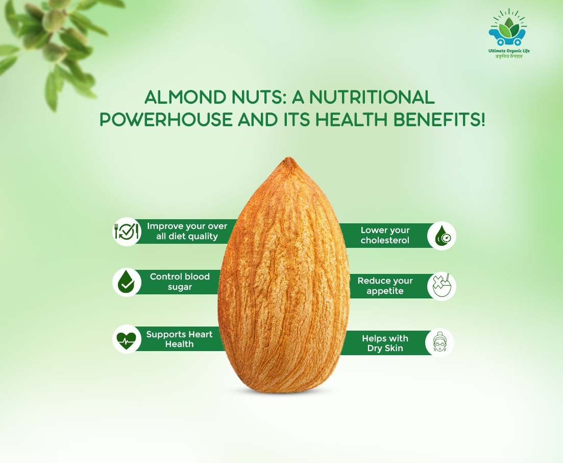 Almond Nut